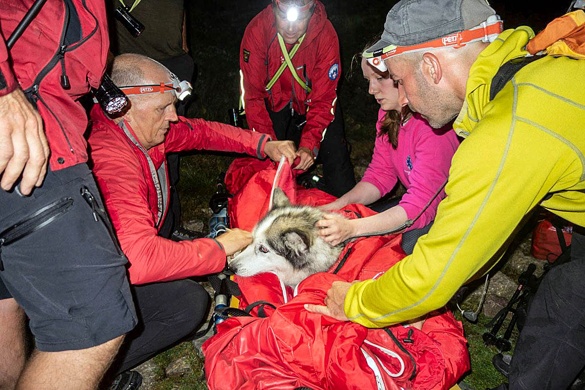 grough — Injured husky dog stretchered from mountain after Scafell Pike ascent